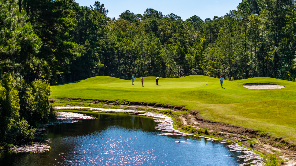 DiamondBack Golf Club: A True Carolina Challenge in the Heart of the ...
